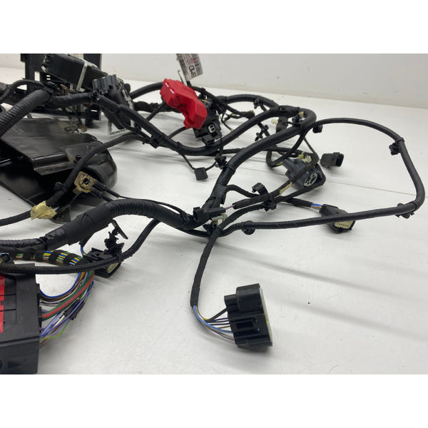 Ford Fiesta ST Engine bay wiring loom MK8.5 2022 | Torque Motors