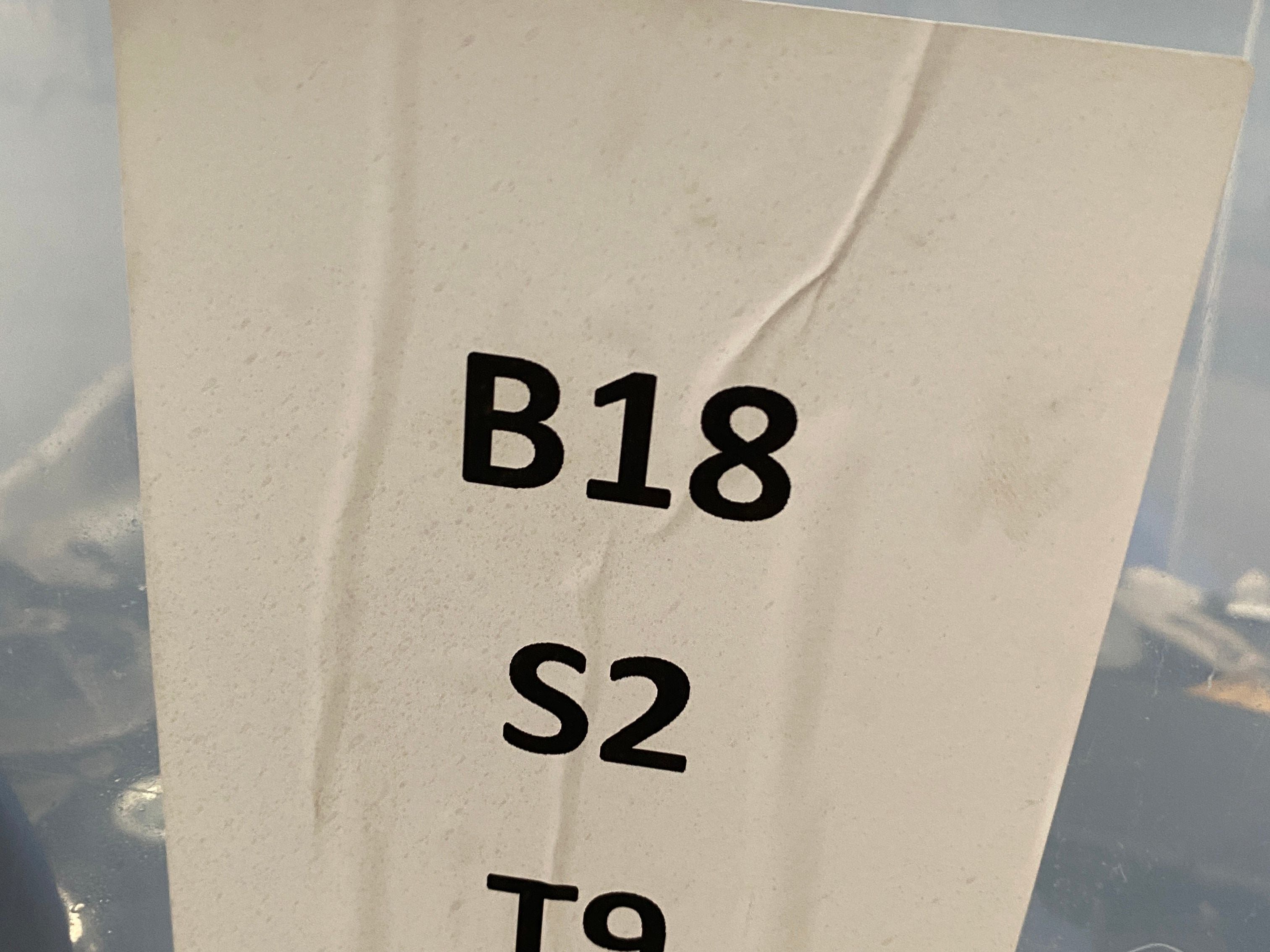 Ford focus ST badge 2007 MK2 ST225 | Torque Motors